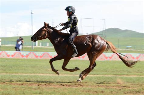 НААДАМ Үндэсний хурдан морьдын уралдаан морь цоллох ёсон