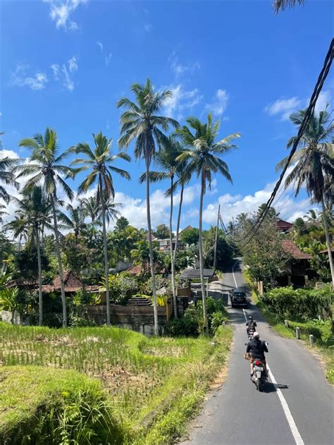 bali life bali travel bali vacation dream travel destinations