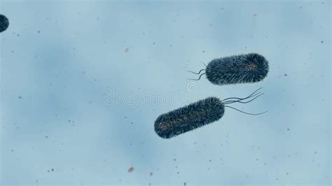 3d Animation Of Motion Of Escherichia Coli Stock Video Video Of Swimming Motion 306118661
