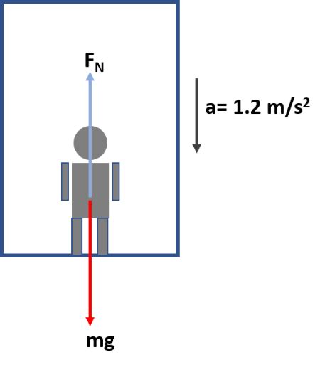 A An Elevator Accelerates Upward At 1 2 M S 2 The Acceleration Of