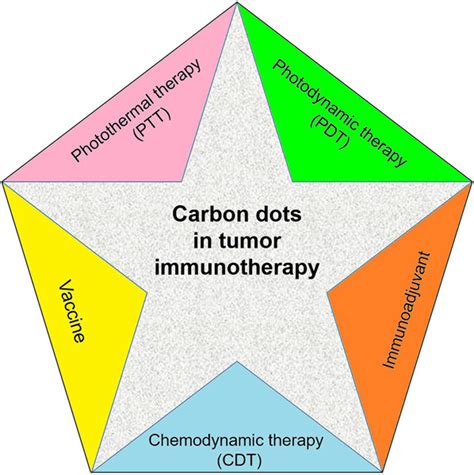 The Application Of Carbon Dots In Tumor Immunotherapy Researches And