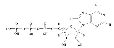 生物荧光检测技术基本原理 电子工程专辑
