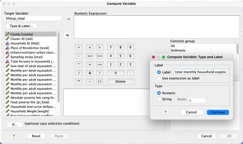 SPSS Tutorial Data Manipulation In SPSS Resourceful Scholars Hub