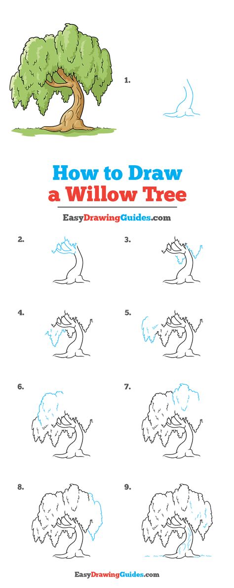 How To Draw A Willow Tree Really Easy Drawing Tutorial Tree Drawing Simple Trees Drawing