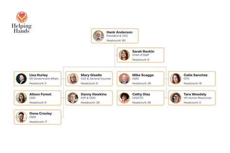 Optimize Your Nonprofit Organizational Structure With Orgchart