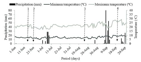 Precipitation Mm And Maximum And Minimum Temperatures ºc Every Ten Download Scientific