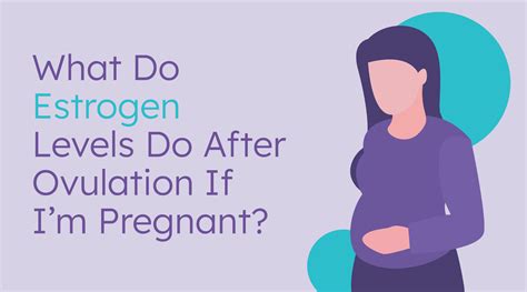 What Do Estrogen Levels Do After Ovulation If Pregnant Proov