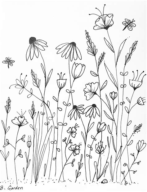 Wild Flowers Images Drawing