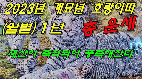 2023년 계묘년 호랑이 띠 월별 1년총 운세 Youtube