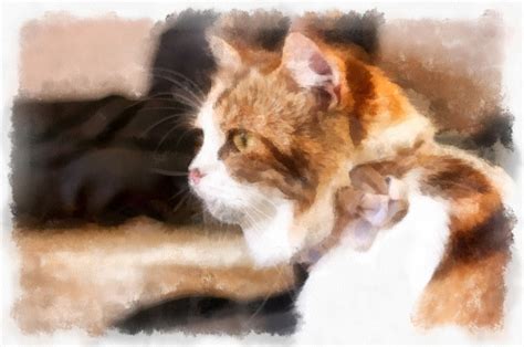 다양한 귀여운 고양이는 수채화 스타일 일러스트 인상파 그림을 포즈를 취합니다 0명에 대한 스톡 벡터 아트 및 기타 이미지 0