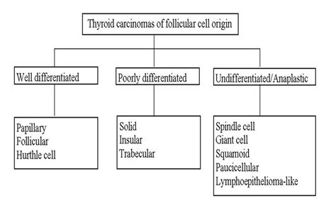 Go Big Or Go Home Thyroid Carcinoma 1