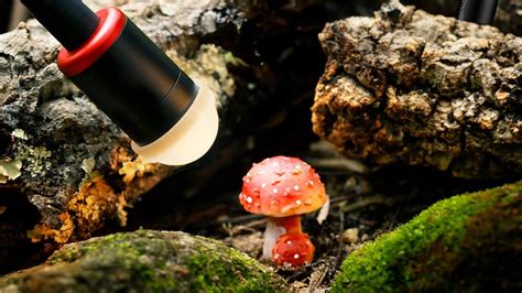 Stop Putting Vaseline On Camera Lenses This New Filter Has A Dreamy