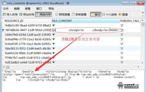 通过navicat显示mysql数据库二进制大字段blob文本内容 小木人印象