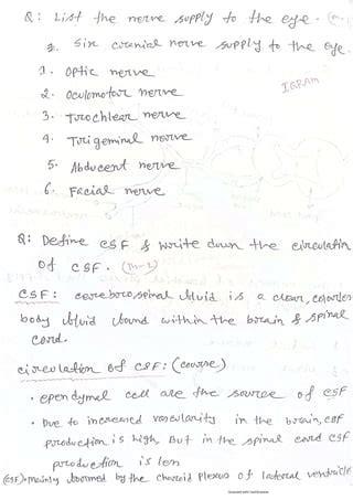 Nervous Question Solve Anatomy Pdf