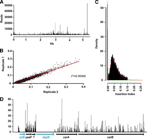 High Density Transposon Library For Identification Of Genes Essential