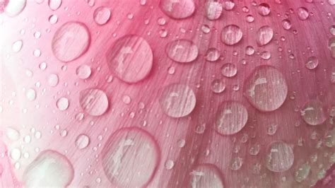 Времето днес Времето Новини Бг