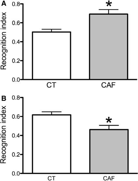 effects of different soft drinks on long term recognition memory a