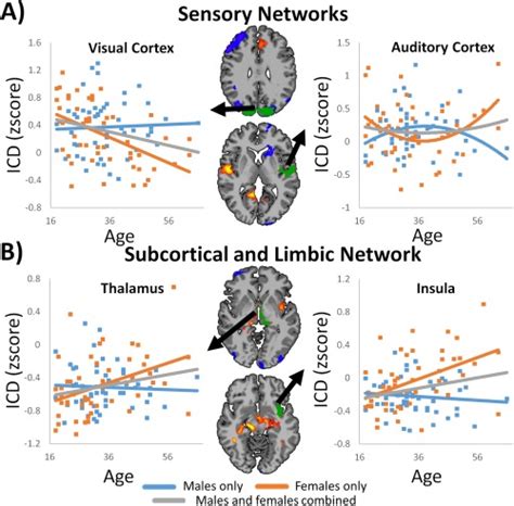 Sex Differences In Normal Age Trajectories Of Functional Brain Networks Pmc