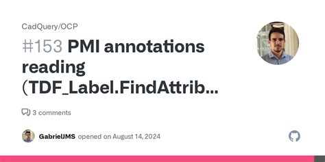 Pmi Annotations Reading Tdflabelfindattribute From Ocp Not Working