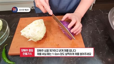 양배추가 유산균폭탄이 됩니다 한국식으로 발효시켜 장건강에 도움을 주고 항암효과까지 있는 양배추절임 레시피 모범뉴스