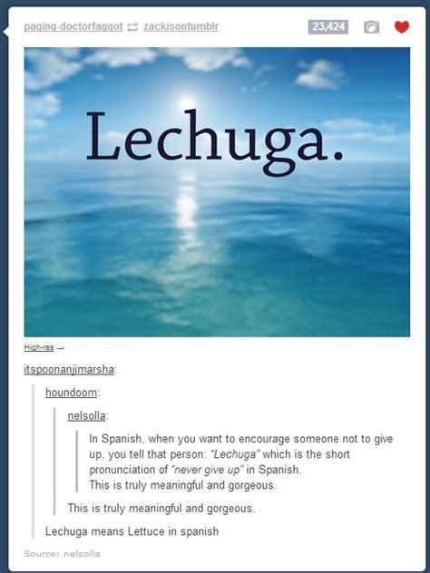 Lechuga Imgur