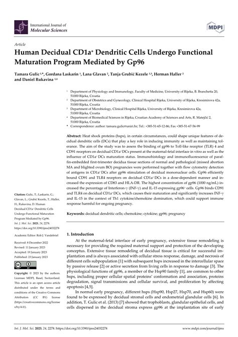 Pdf Human Decidual Cd1a Dendritic Cells Undergo Functional Maturation Program Mediated By Gp96