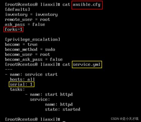 百战rhce（第五十九战：运维工程师必会技 ansible学习14 forks，serial管理并行） ansible forks csdn博客