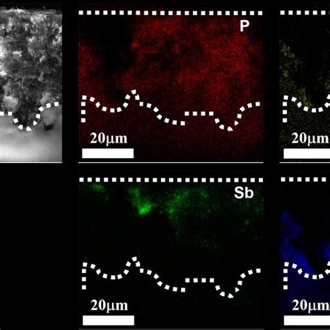 Figure S1 Cross Sectional Sem Images And Eds Analysis Of Scs Protected