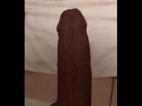 Latin Mamba Introduction XVIDEOS