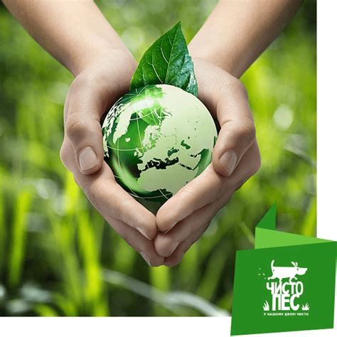 Крахмал и другие эко-упаковки - Пакеты для прибирання за песиками ...