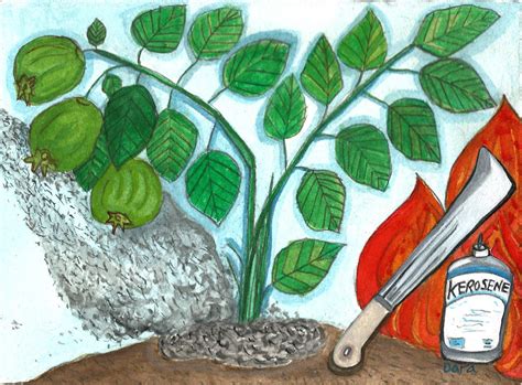 The Myth Of The Lazy Mothers The Rumpus