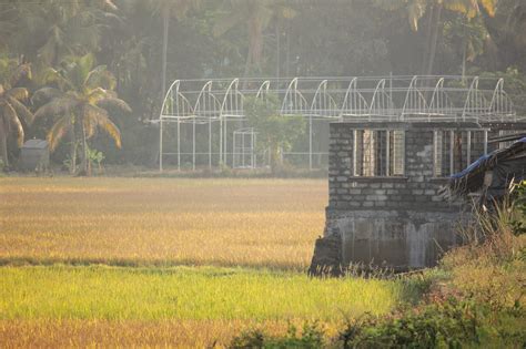 Migrate Your Existing Angular 6 Application From Css To Scss By