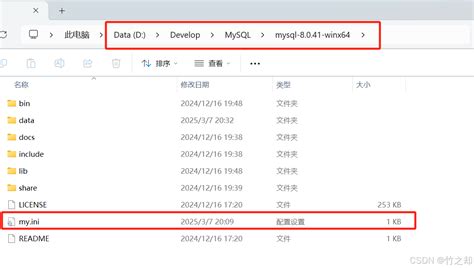 mysql 8 0 41 winx64 手动安装详细教程（2025版） mysql 8 0 41 csdn博客