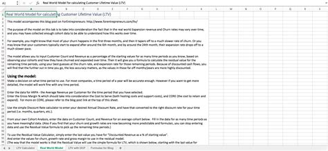 Life Time Value Ltv Excel Spreadsheet Calculator Eloquens