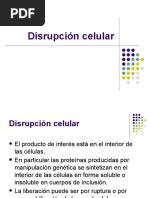 Métodos de Lisis | PDF | Lisis | Biología Celular)