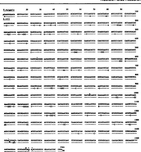 Figure 2 From The Sequence Of The Ribosomal 16s Rna From Proteus