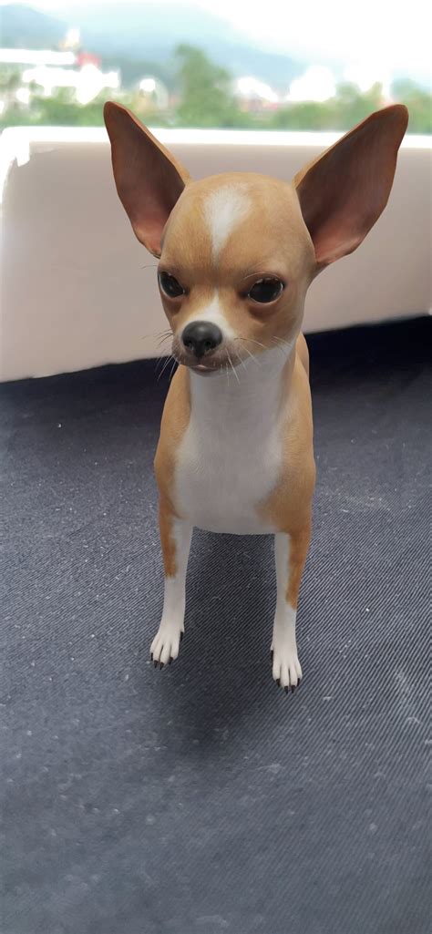 學習每天在各大社群媒體上發文 Day 19 原地爆炸了 電腦炸裂 原來一開始cpu就是壞的 下去 送原廠兩個禮拜不能用 不能跟老師深度學習了😵‍💫 電腦再見😍 Credit 3😎