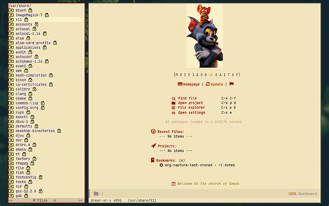 Powerlevel10k Configuration Wizard Rzsh