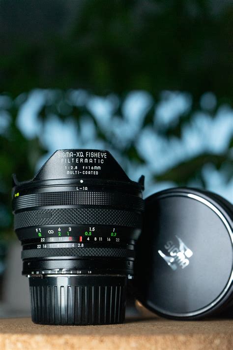Photography Sigma 16Mm - Free photo on Pixabay - Pixabay