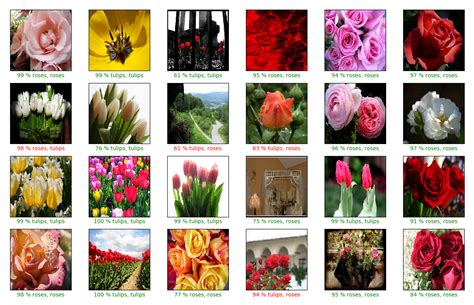 Image Classification With Neural Networks Form And Formula