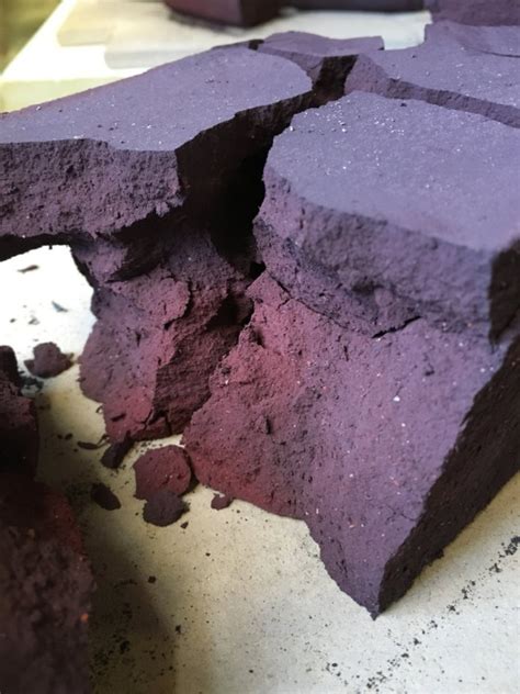 Escaping Pixels Turtle Sandbox