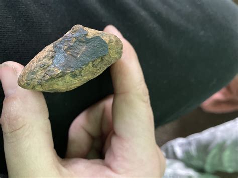 Southeastern Oklahoma Fossil Id The Fossil Forum