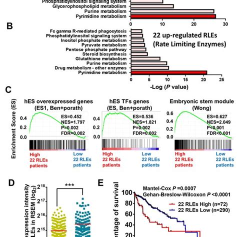 Functional Prediction And Prognostic Value Of Upregulated Metabolic