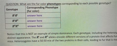 solved what are the for color phenotypes corresponding to