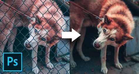 Learn In Seconds How To Remove Any Object From Your Image In Photoshop