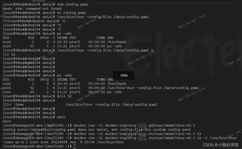 总结：记一次docker调试镜像的问题docker 测试镜像 Csdn博客