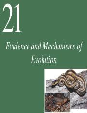 Understanding Evidence And Mechanisms Of Evolution Charles Course Hero