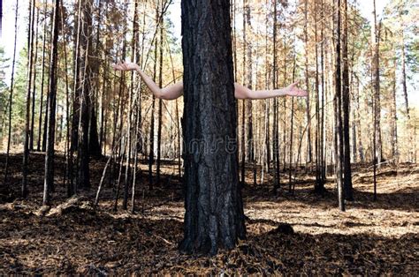 554 Naked Woman Tree Forest Stock Photos Free Royalty Free Stock Photos From Dreamstime