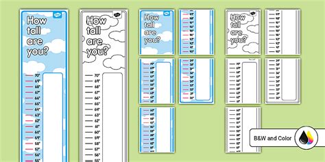 Height Chart Teacher Made Twinkl