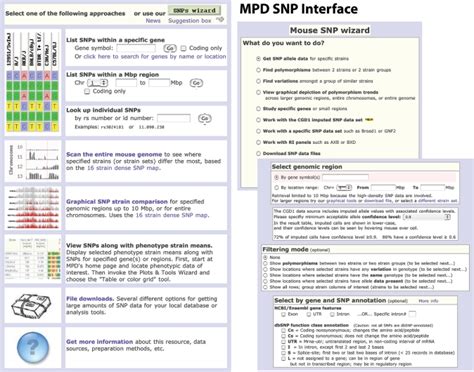 MPD SNP Interface Tools For Retrieval And Filtering SNPs SNPs May Be Download Scientific